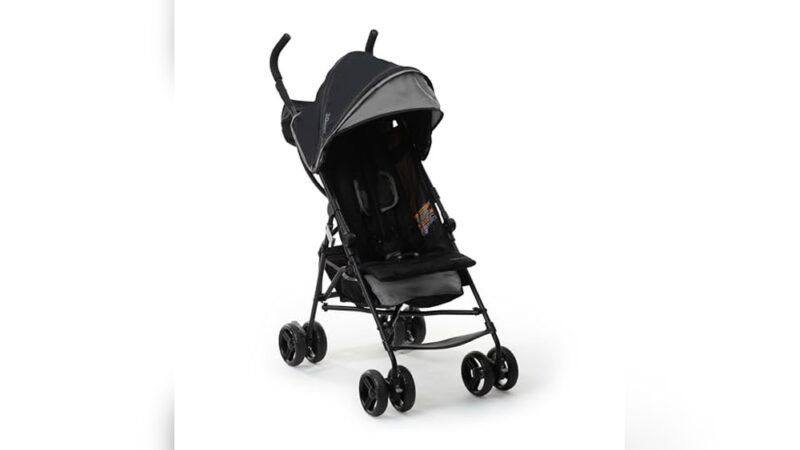 Ingenuity 3D Mini Convenience Stroller Review: Lightweight, Compact ...